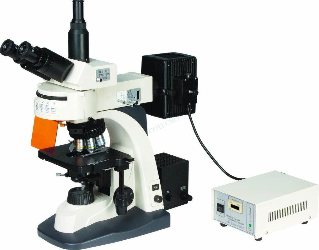 Microscopio De Fluorescencia BellO-MicFluo » COTECNO | Equipamiento ...